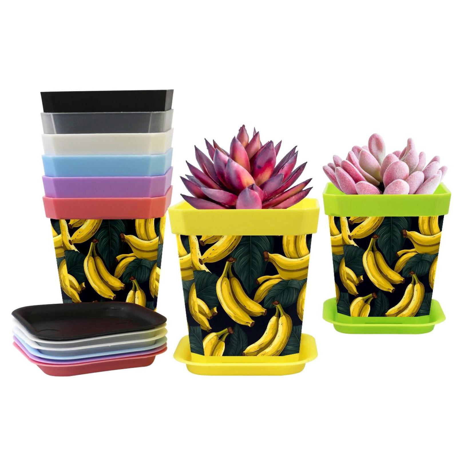 Small Plant Pots, 8 Pack Flower Pots, Planters for Indoor Plants ...