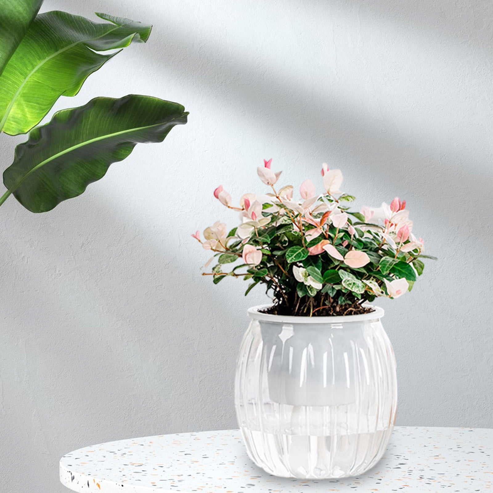 Small Plant Pots, Indoor Flower Pots, Planters with Drainage Holes and ...