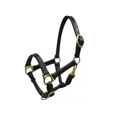 35-7900-BK 7 ft. Cow Size Poly Rope Halter, Black - Walmart.com