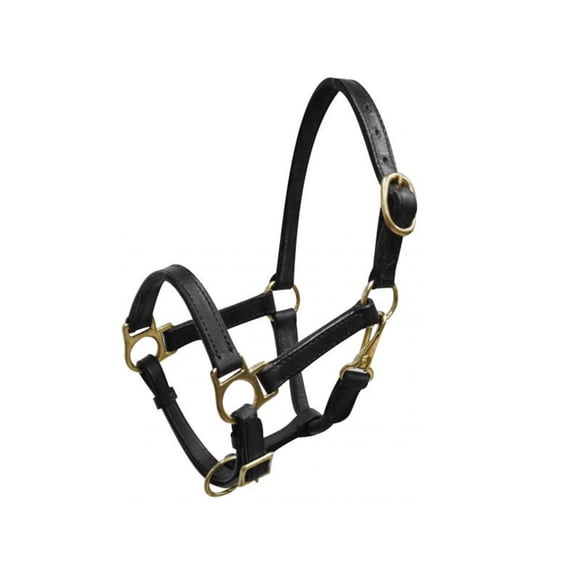 Small Pony Nylon Halter w/ Nickel Plated Hardware - Walmart.com