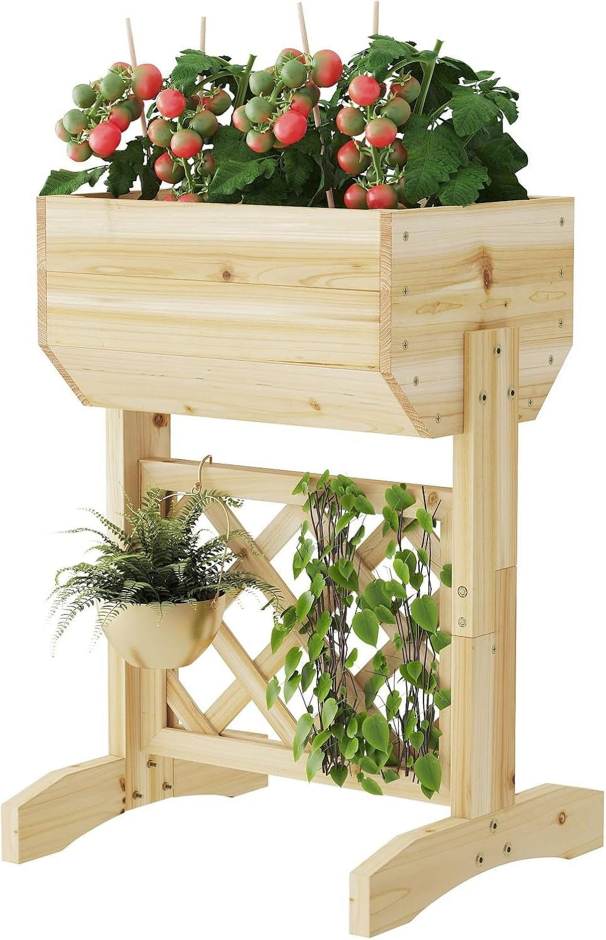 Small Raised Garden Bed, Lattice Panels for Indoor & Outside, Raised ...