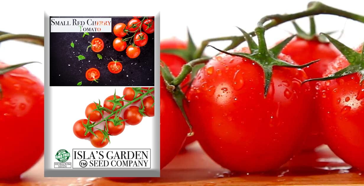 Small Red Cherry Tomato Seeds for Planting, MHD1500+ Heirloom Seeds Per ...