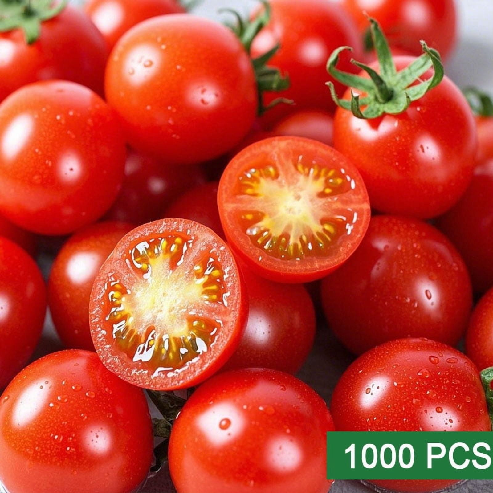 Small Red Cherry Tomato Seeds for Planting - Non-GMO, Tasty Snacking ...
