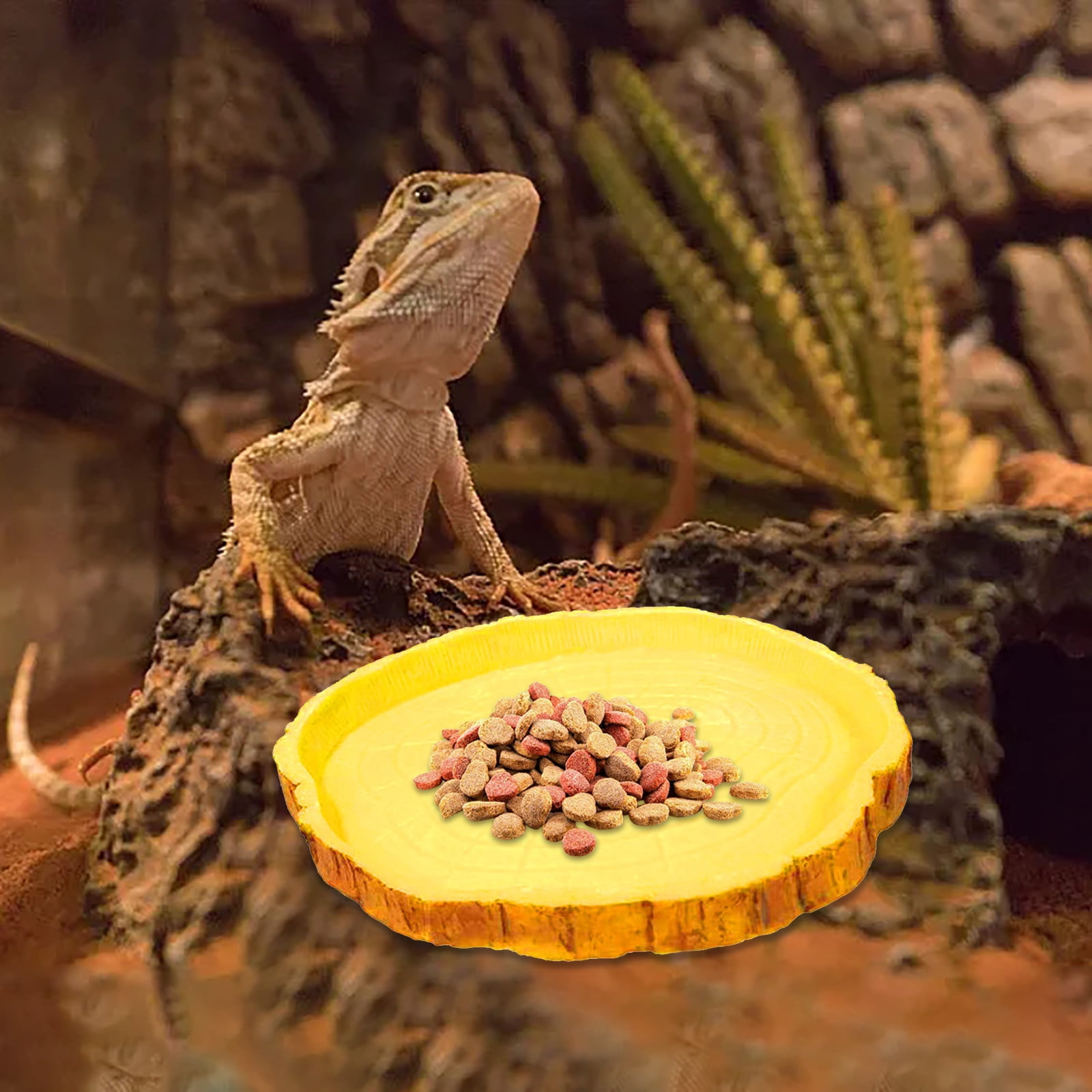 Small Reptile Food Dish, Resin Tree Trunk Reptile Feeding Bowls, Tank ...