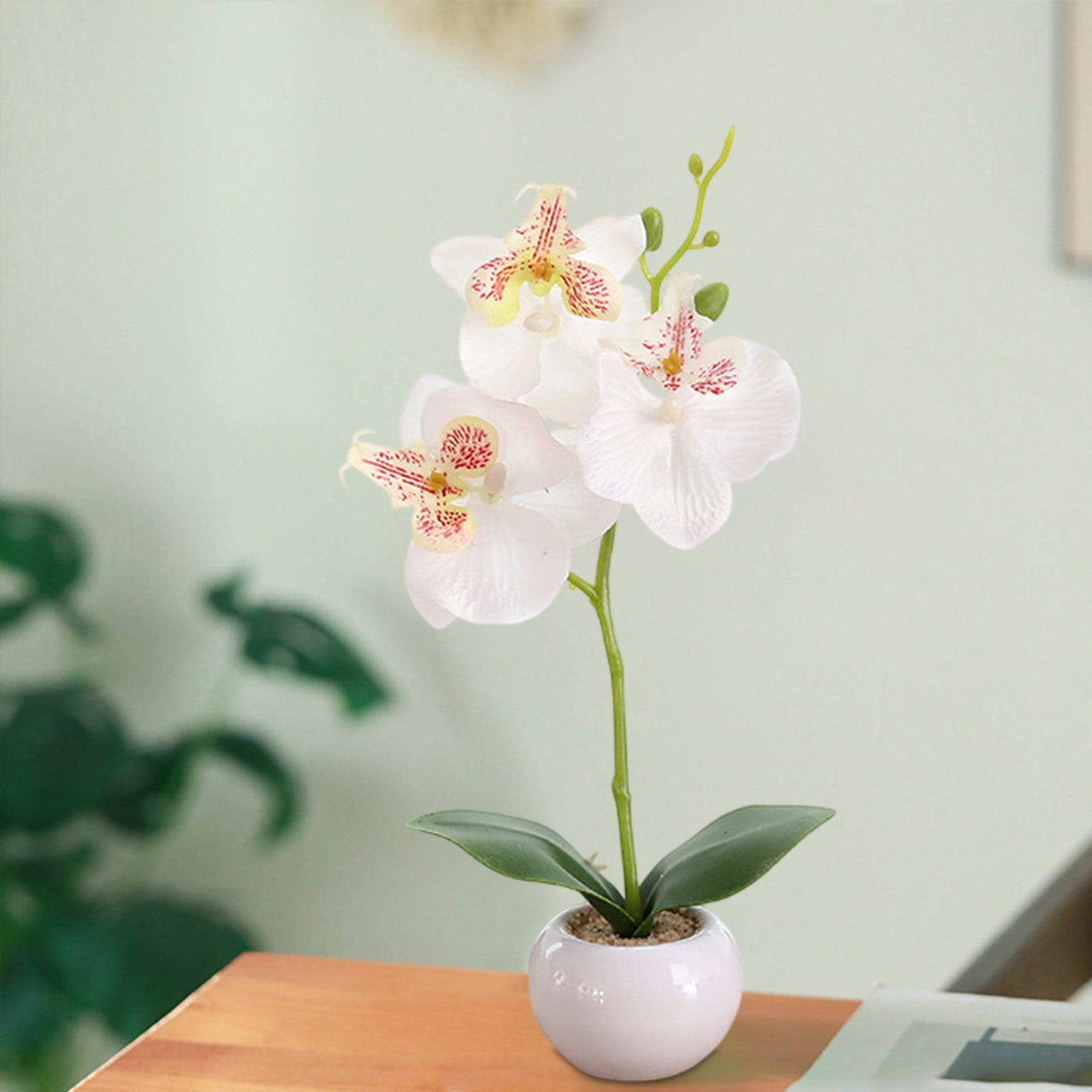 Small Round Phalaenopsis Artificial Flower Pot - Fake Orchid ...