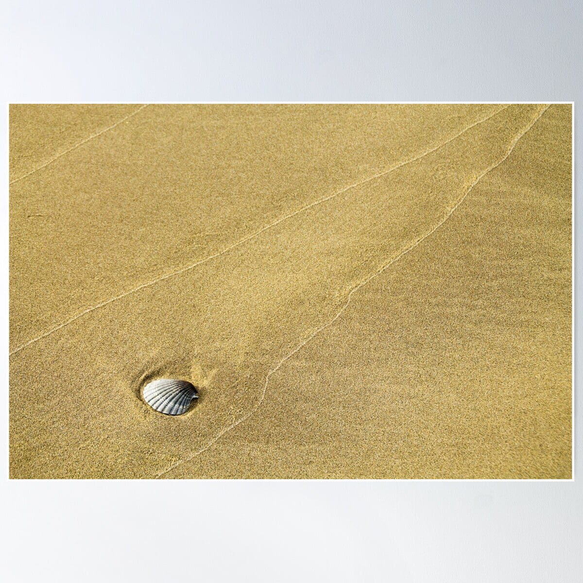 Small Shell On Beach Poster Wall Art, Modern Wall Decor For Living Room ...