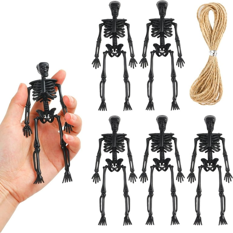 foxtons skeleton mini