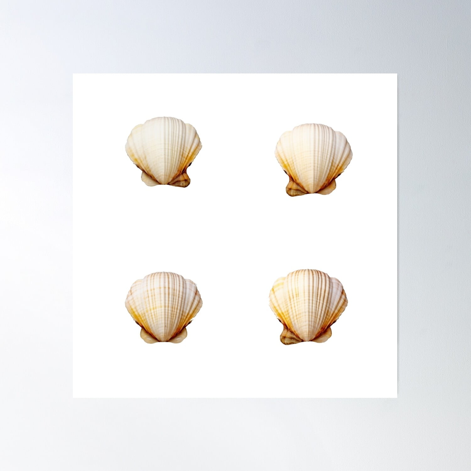 Small Spread Out Shells Sticker 4 Group Collection 001 Poster Wall Art ...