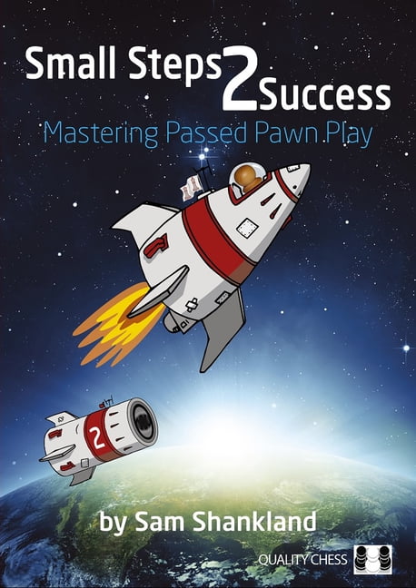 Small Steps 2 Success, (Paperback) - Walmart.com