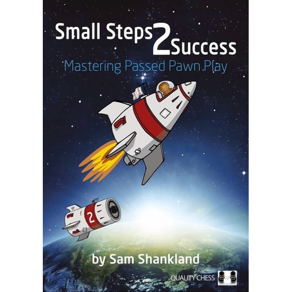 Small Steps 2 Success (Paperback) - Walmart.com