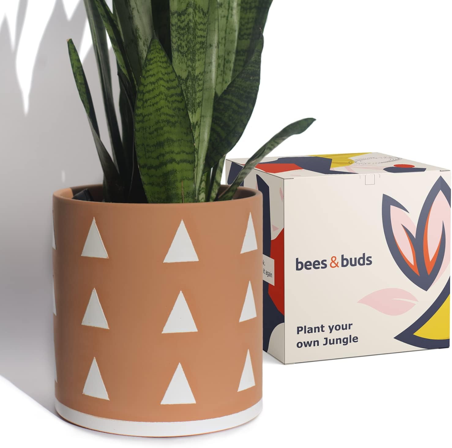 Small Terracotta Plant Pots 8 inch, Clay Succulent Pots with Drainage ...