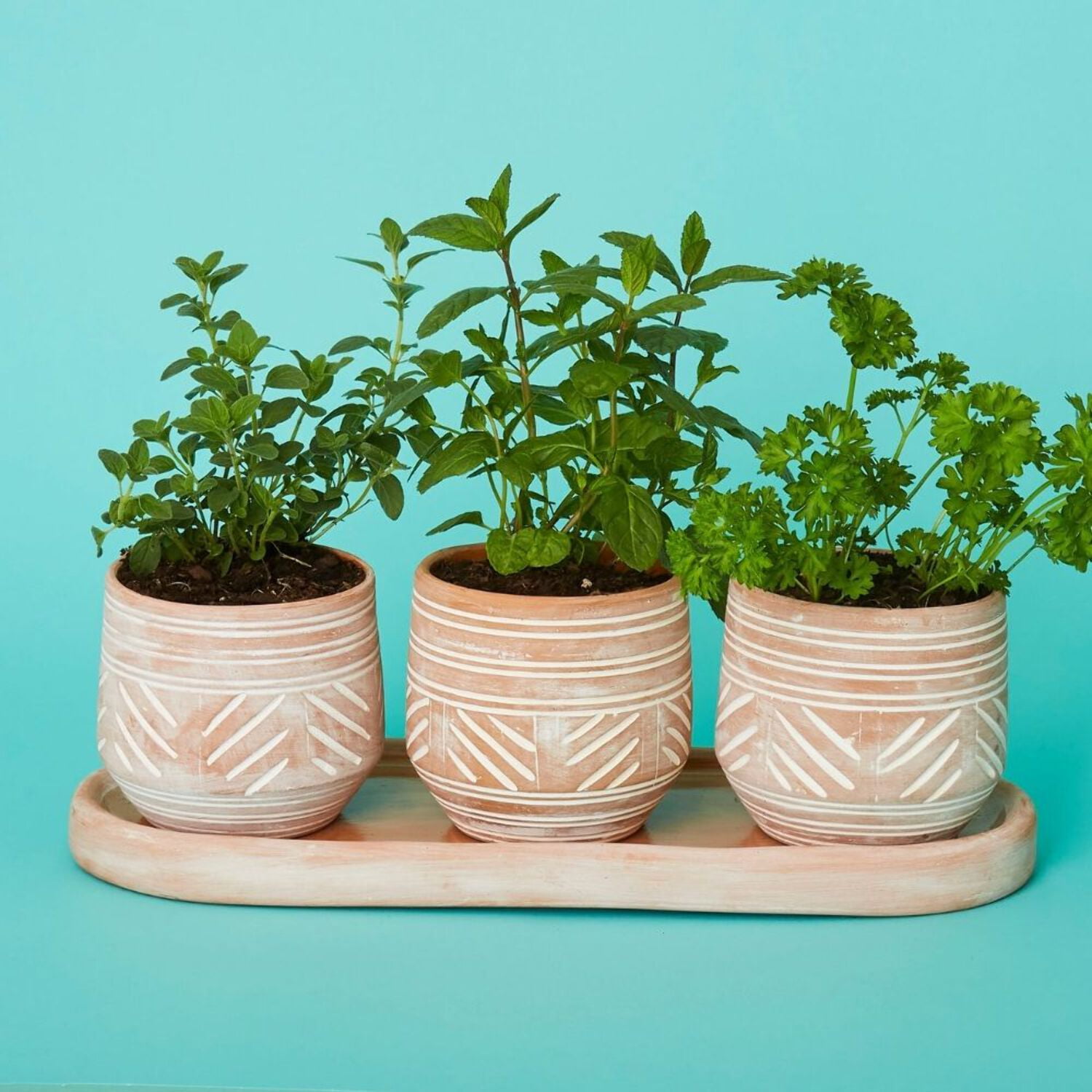 Small Terracotta Pot Tray Set - Walmart.com