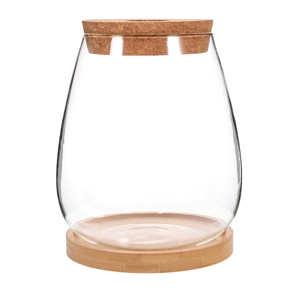 Small Terrarium Glass Terrariums for Plants Dining Table - Walmart.com
