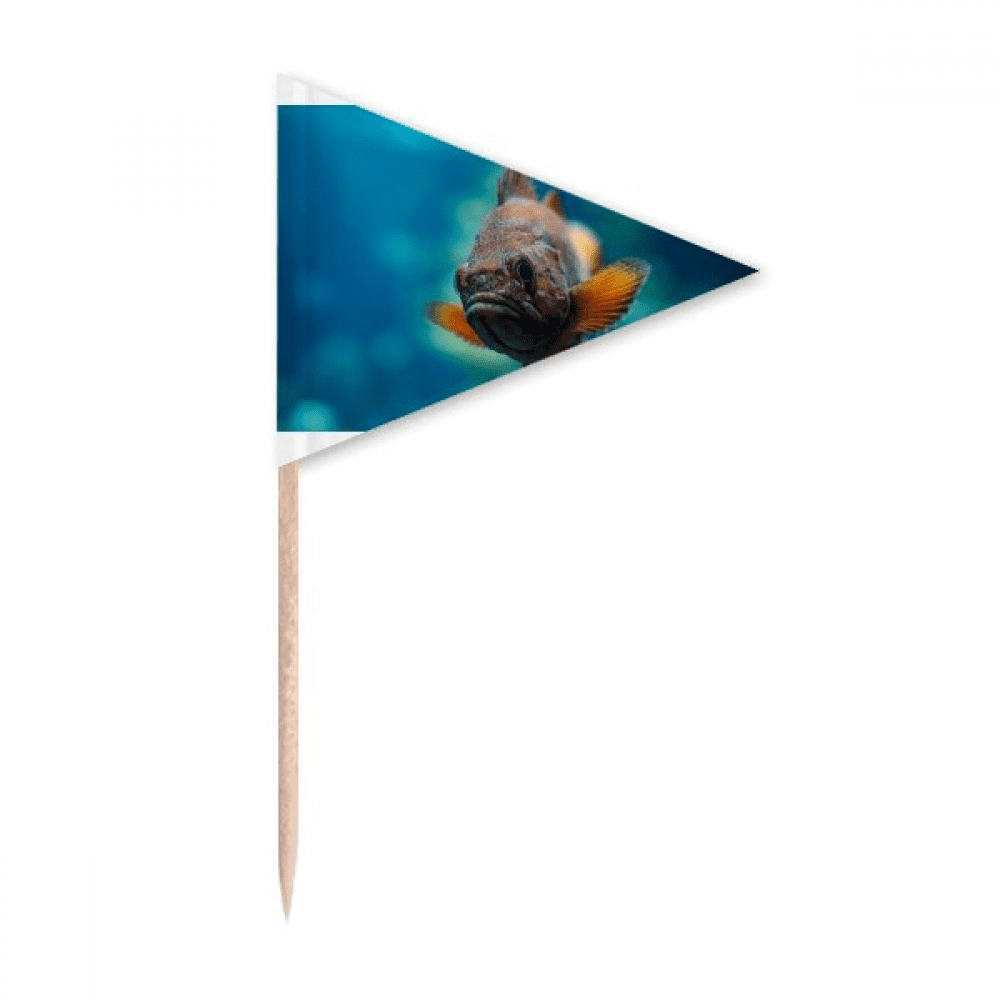 Small Tropical Fish Marine Organism Toothpick Triangle Cupcake Toppers ...