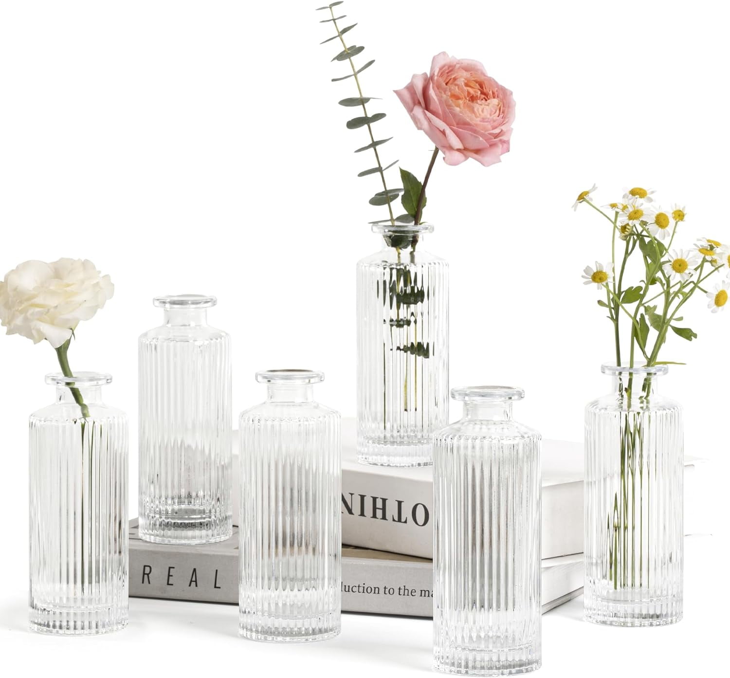 Small Vases for Flowers Mini Clear Glass Bud Vases in Bulk, Mini Flower ...