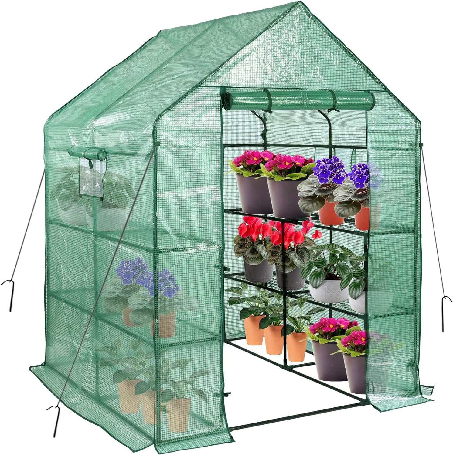 Small Walk-in Greenhouse for Outdoors, 56" x 30" x 76" Portable ...