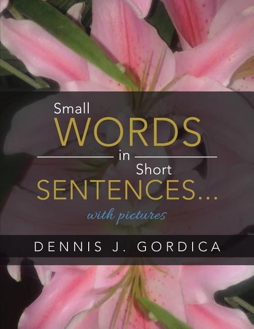 Small Words in Short Sentences...with pictures (Paperback) - Walmart.com