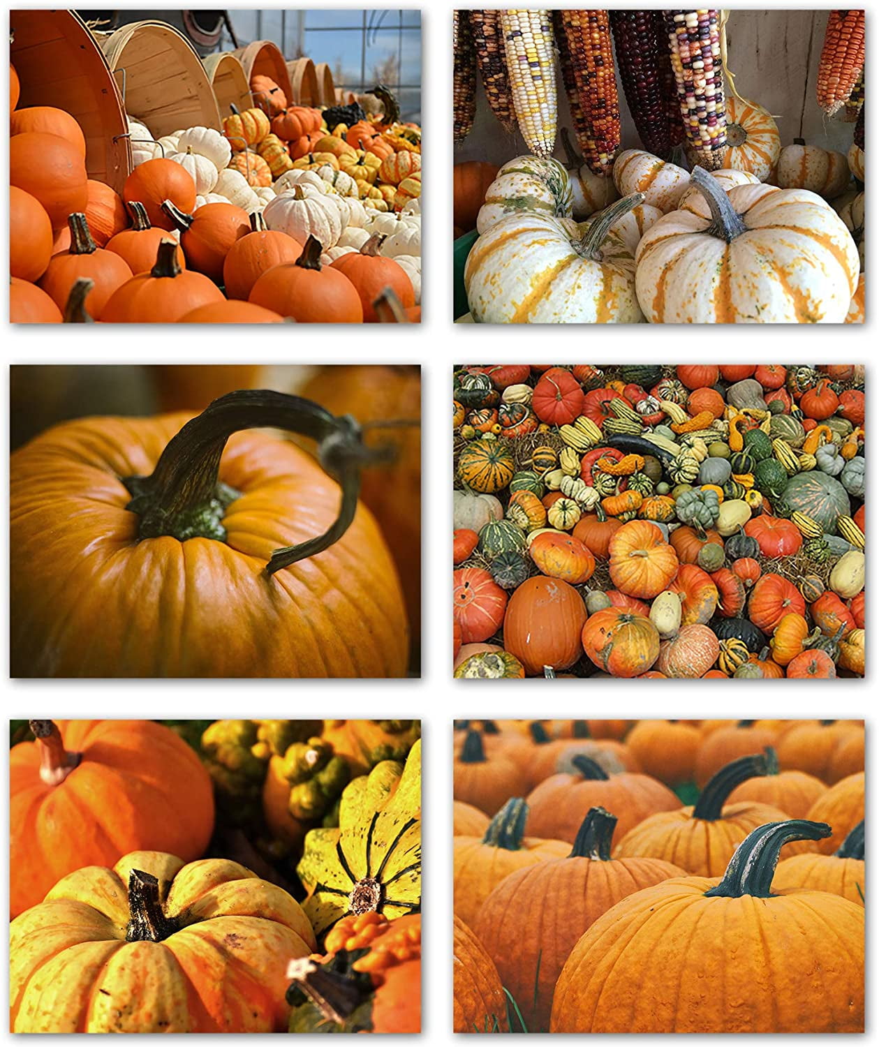 Small World Greetings Autumn Pumpkins, Gourds Thanksgiving Cards - 12 ...