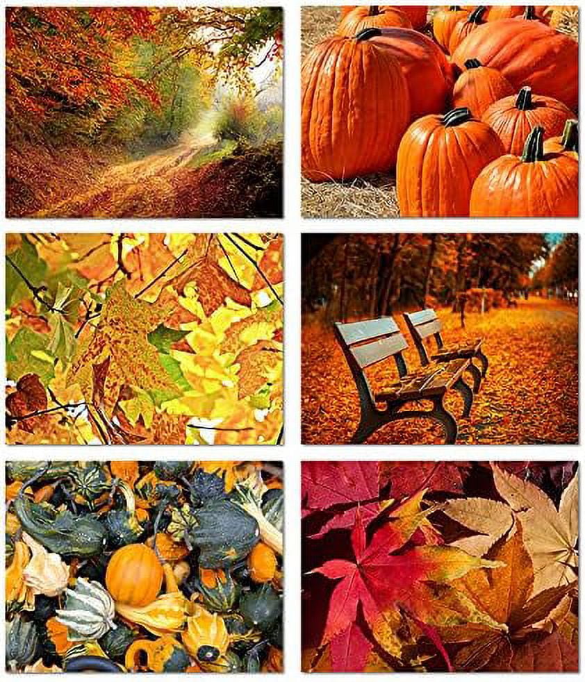 Small World Greetings Autumn Scenes Cards 24 Count - Blank Inside with ...