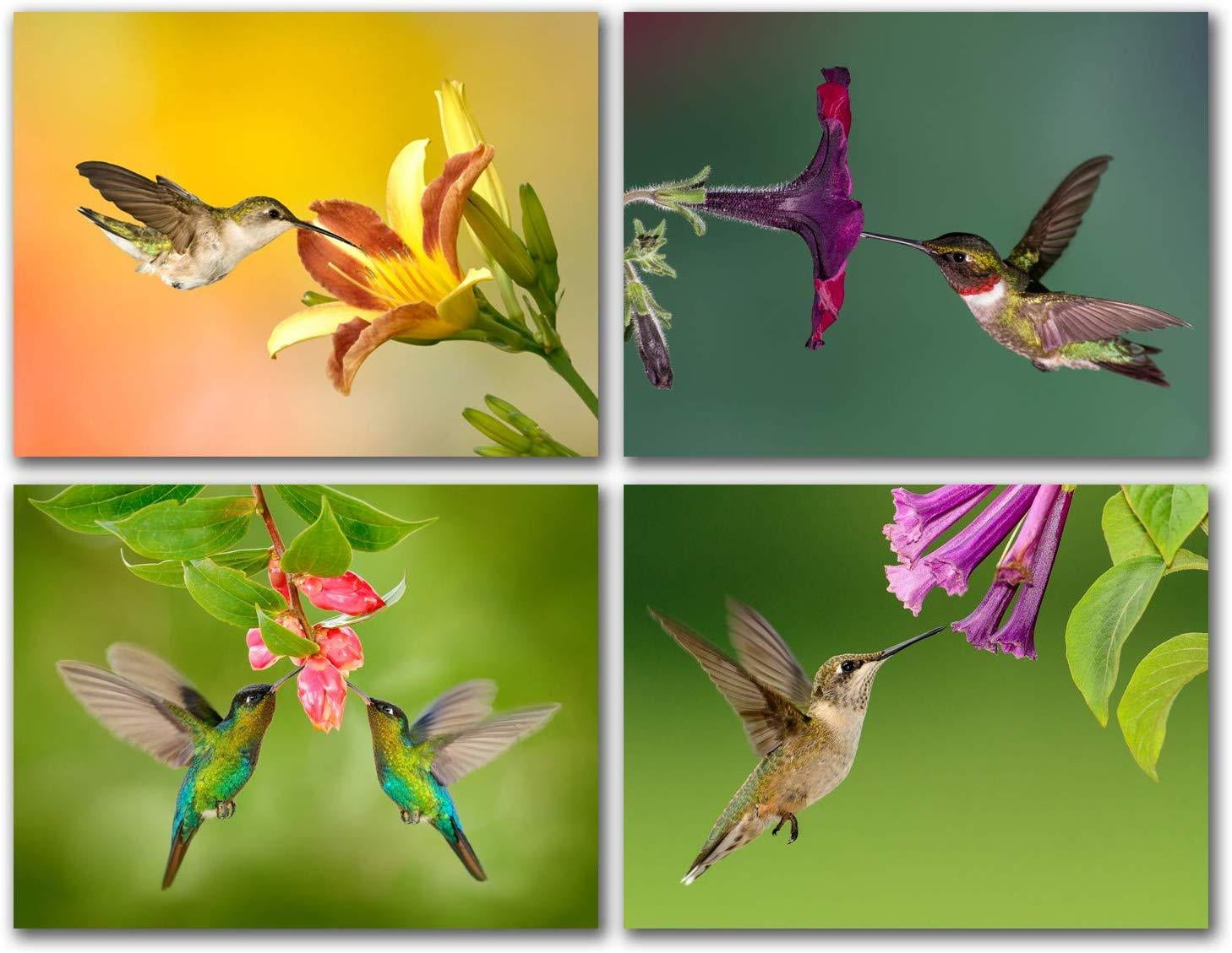Small World Greetings Hummingbird Note Cards 12 Count - Blank Inside ...