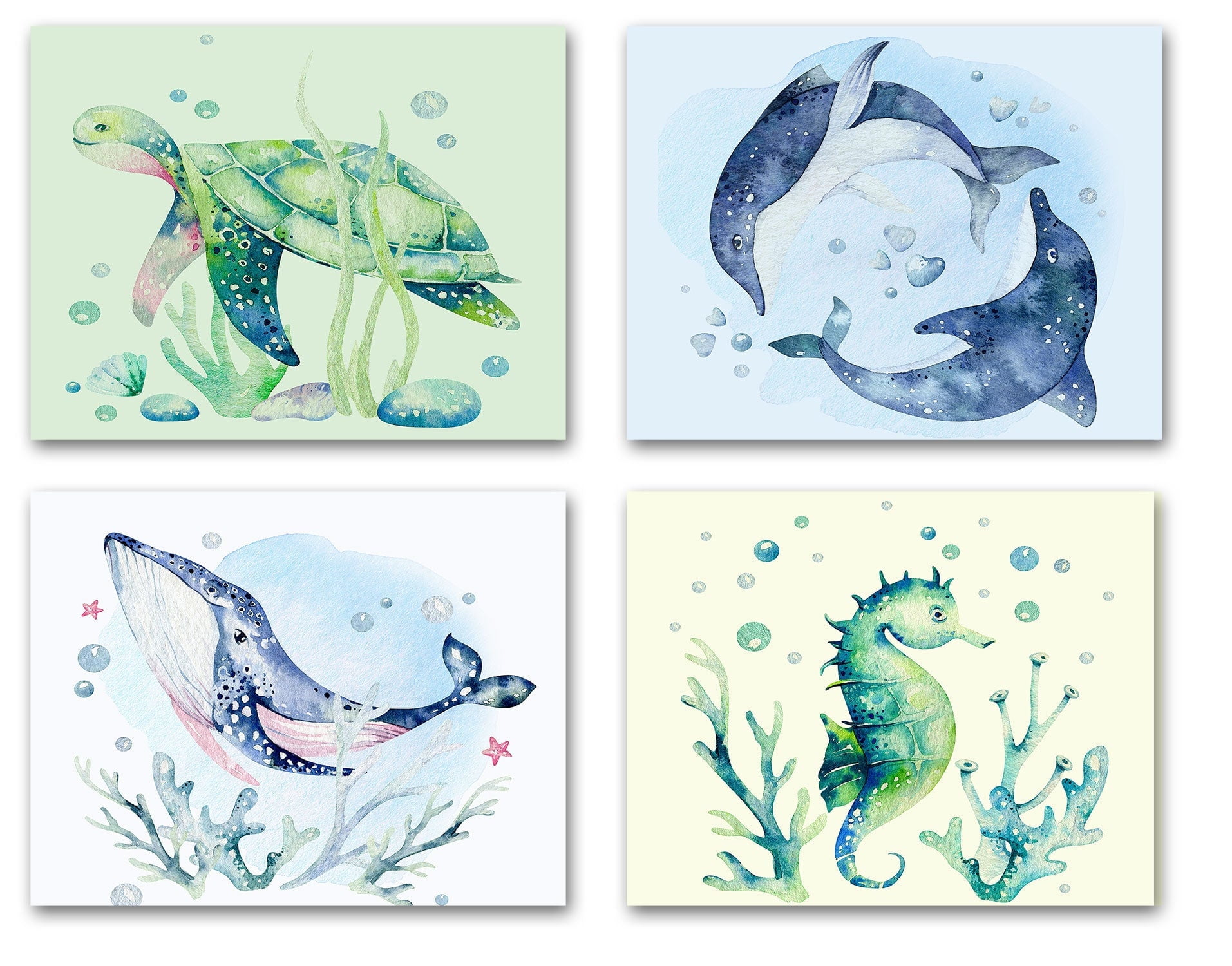 Small World Greetings Ocean Life Cards 12 Count - A2 Size (5.5"x4.25 ...