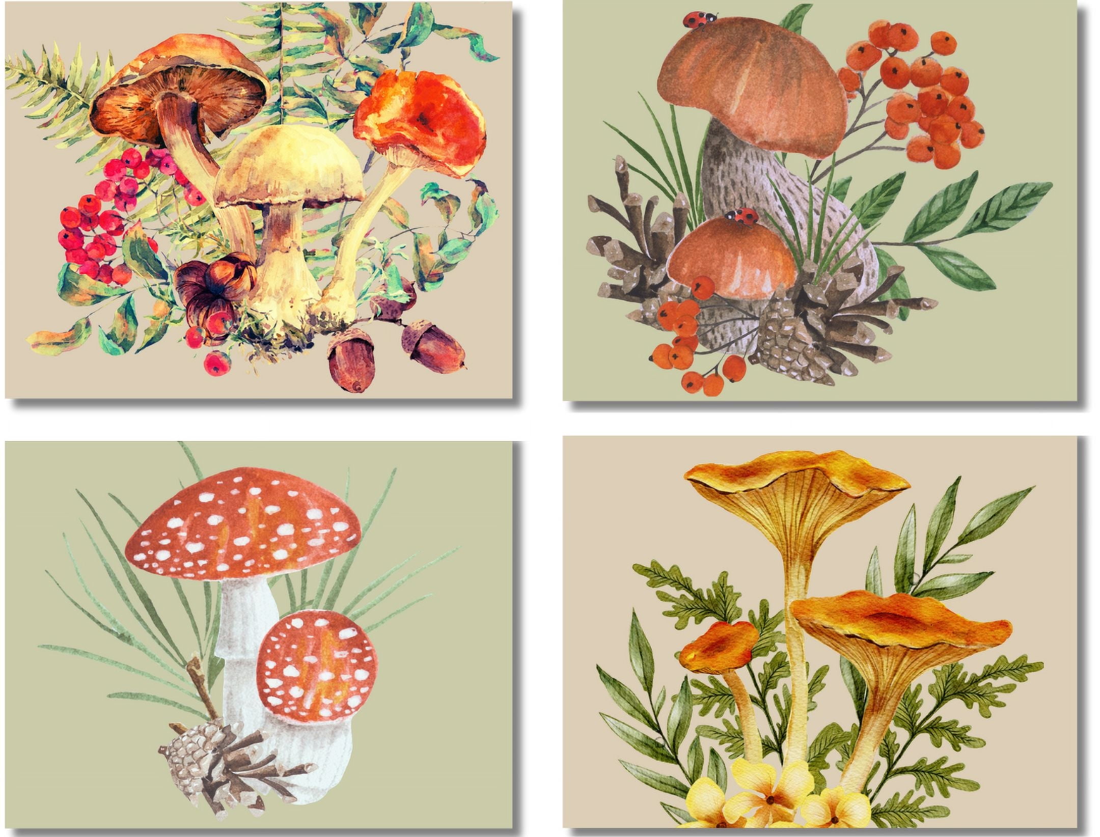 Small World Greetings Watercolor Mushroom Note Cards 24 Count - Blank ...