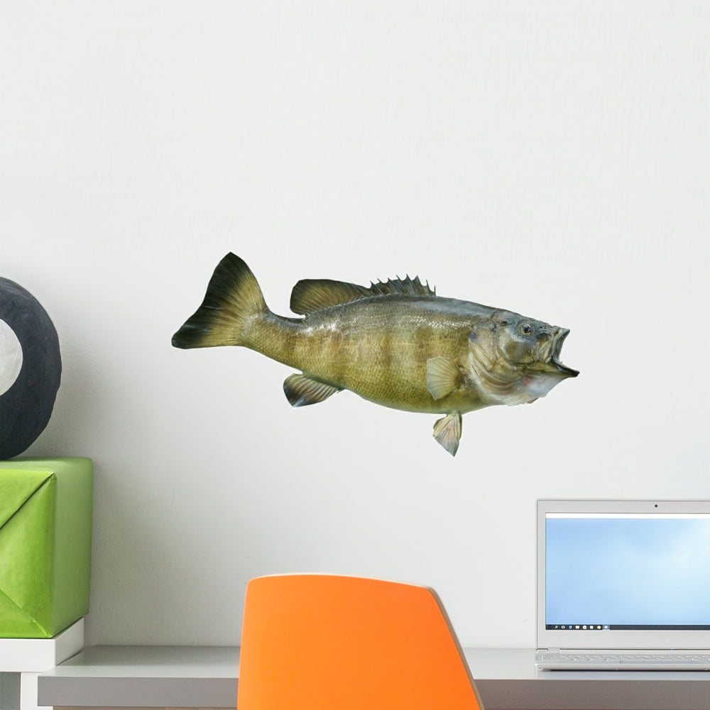 Smallmouth Bass White Wall Mural Decal by Wallmonkeys Vinyl Peel and ...