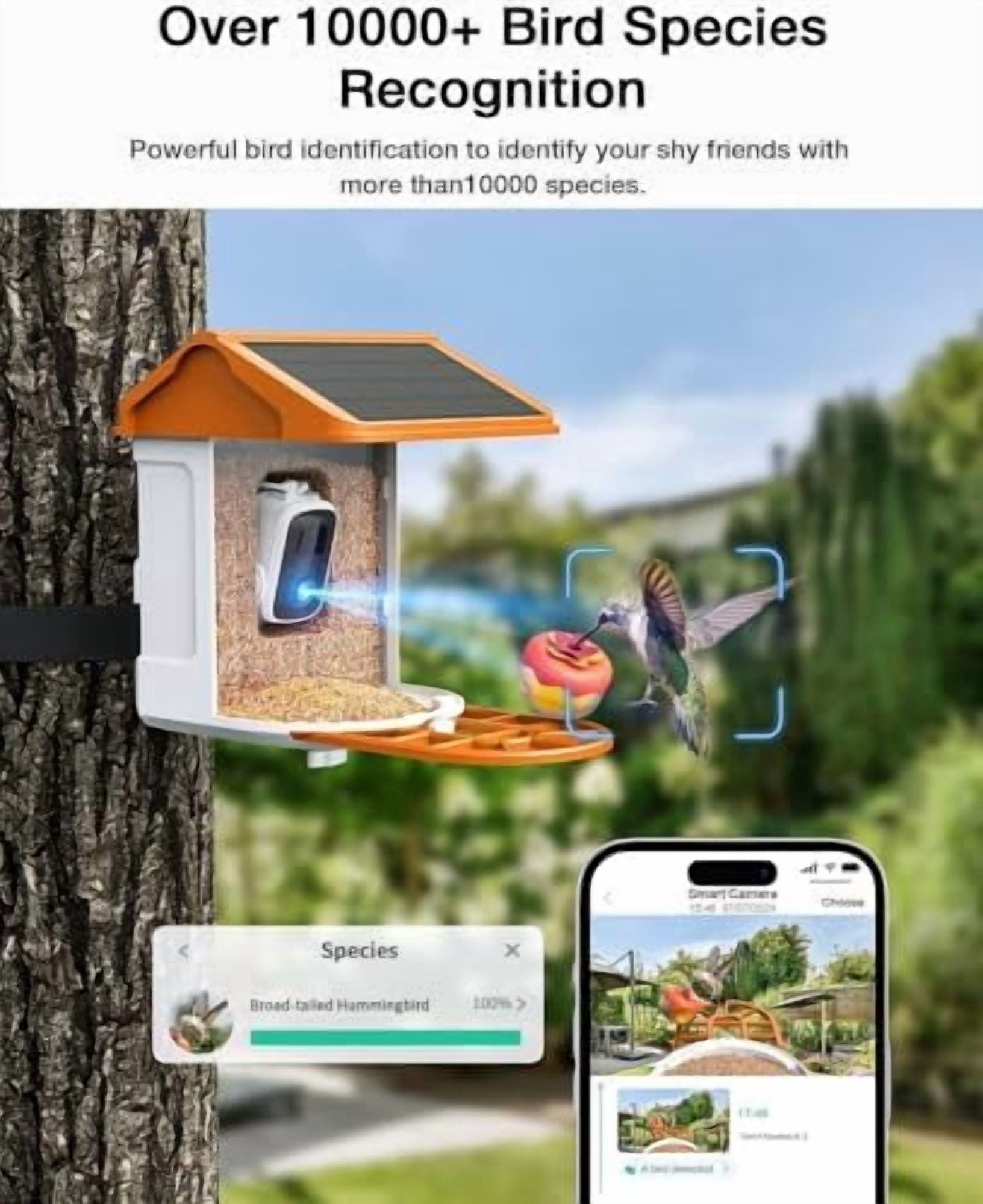 Smart AI Bird Feeder with Camera: Solar-Powered, 2K Live Video, Bird‘s ...