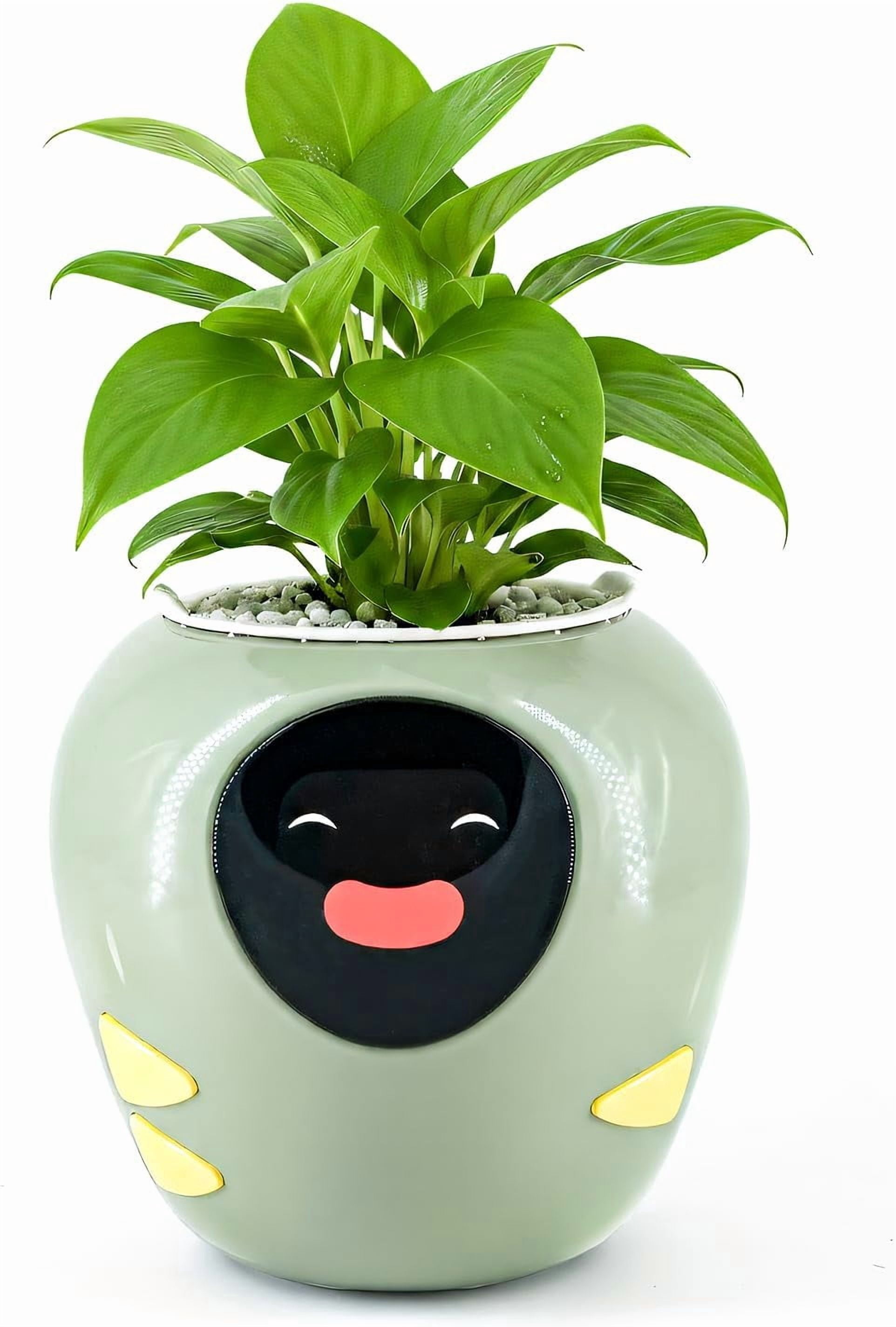 Smart AI Flower Pot with Time-Temperature Display and Expressive ...