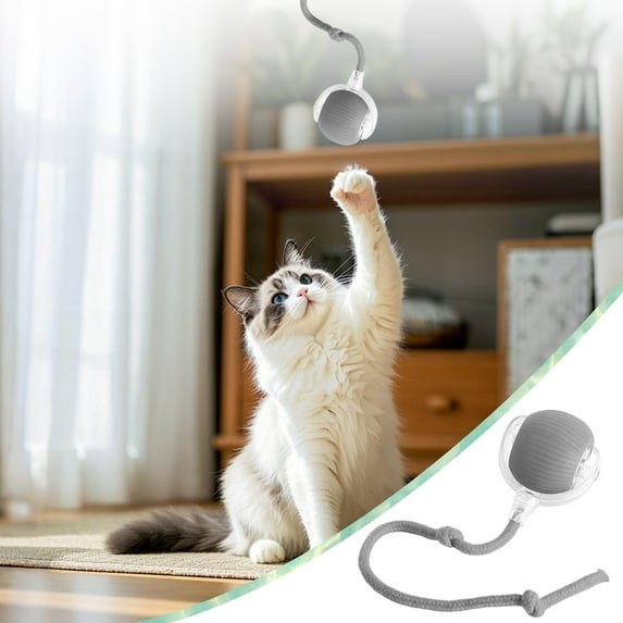Smart Automatic Cat Toy Ball, Motion Activated with Auto Sleep/Wake ...