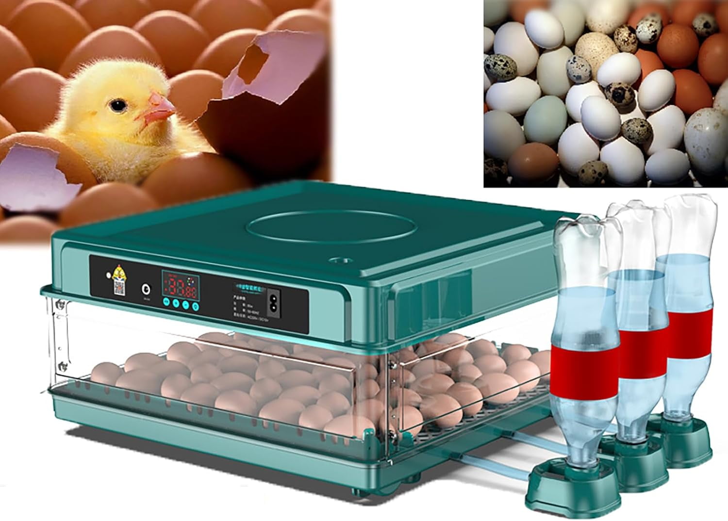 Smart Automatic Egg Incubator for 6-126 Eggs – Digital Temperature ...