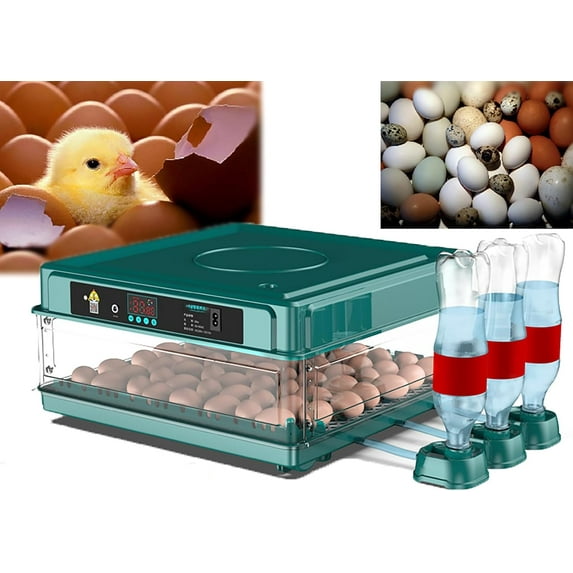 Smart Automatic Egg Incubator for 6-126 Eggs – Digital Temperature ...
