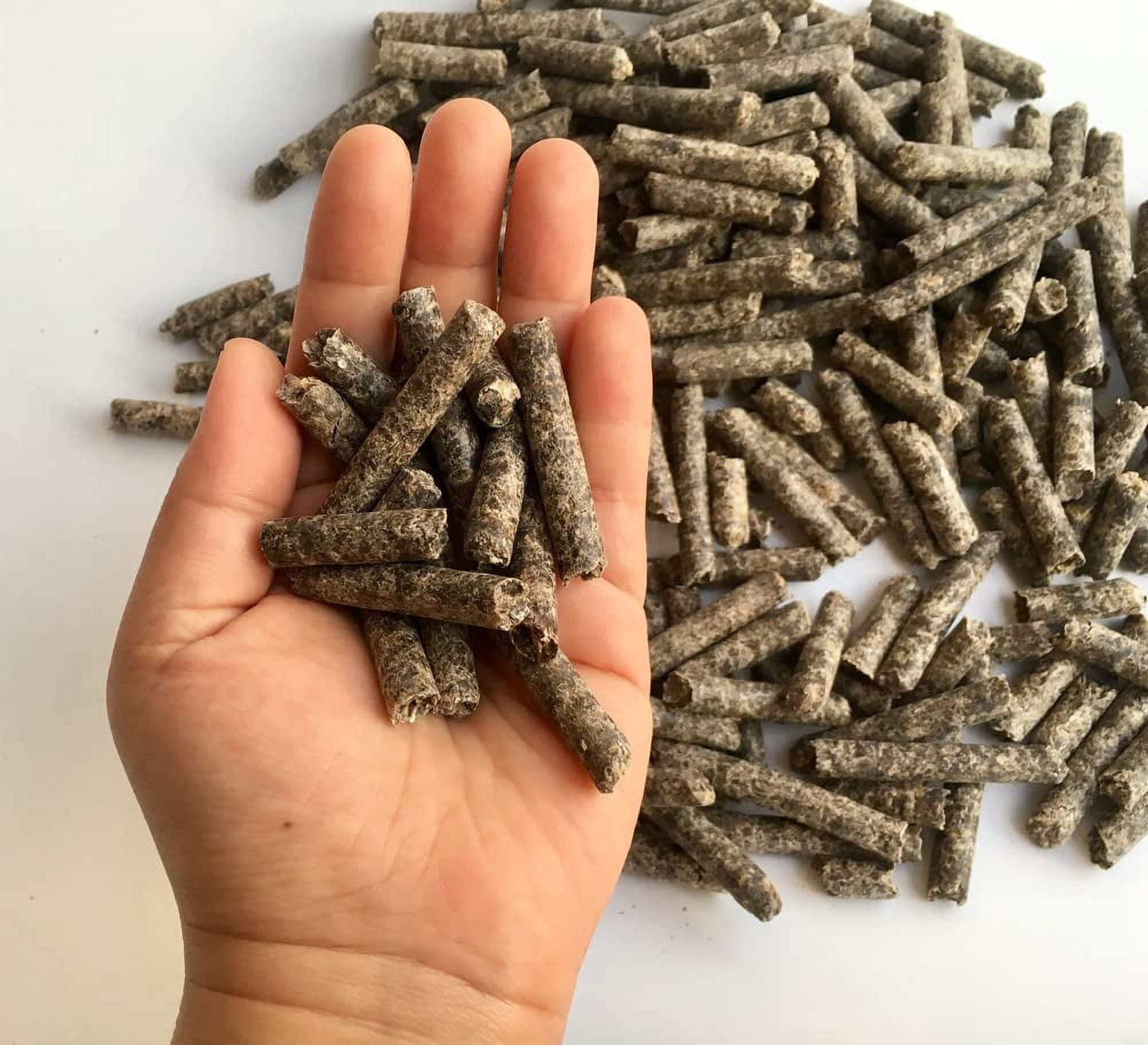 Smart Beet Pellets for Feeding - Horse, Pony, Goat, Cattle Feed - Good ...