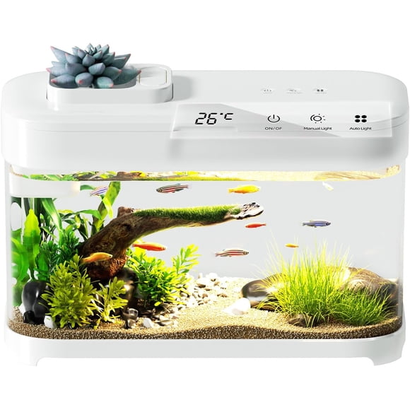3 Gallon Fish Tank