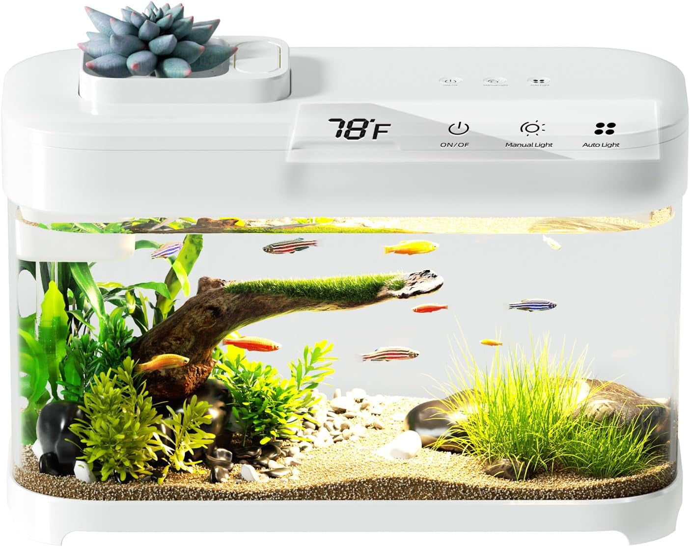 Smart Betta Fish Tank Aquarium 3 Gallon with Temperature Monitor, 3 ...