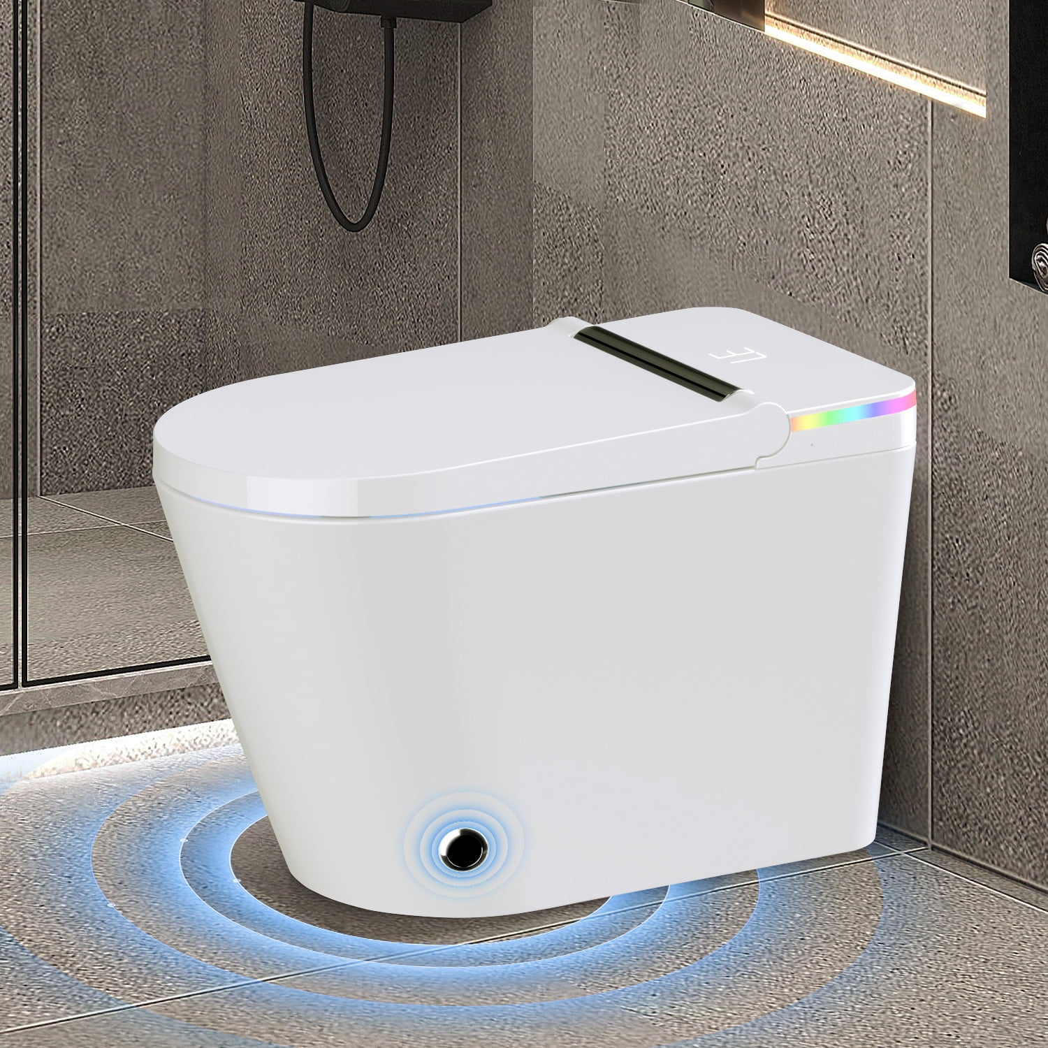 One Piece Bidet Toiletsnull
