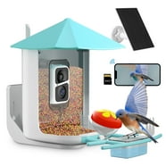 Birddock Digital Outdoor Hummingbird Feeder with AI Camera and SD Card ...