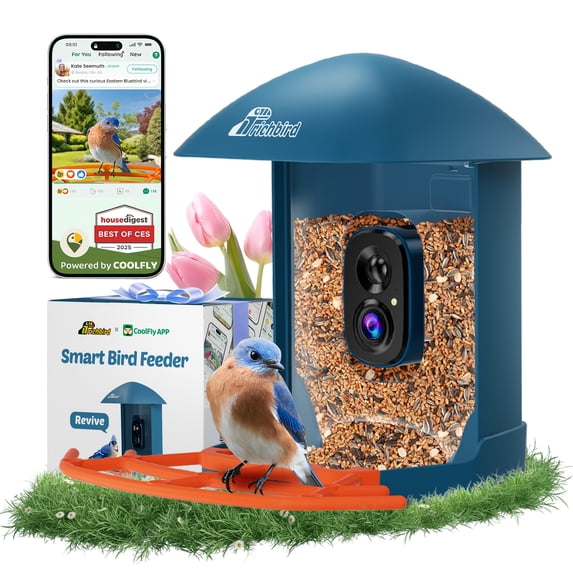 Smart Bird Feeder With Camera, 2K HD AI Bird Species Identification ...