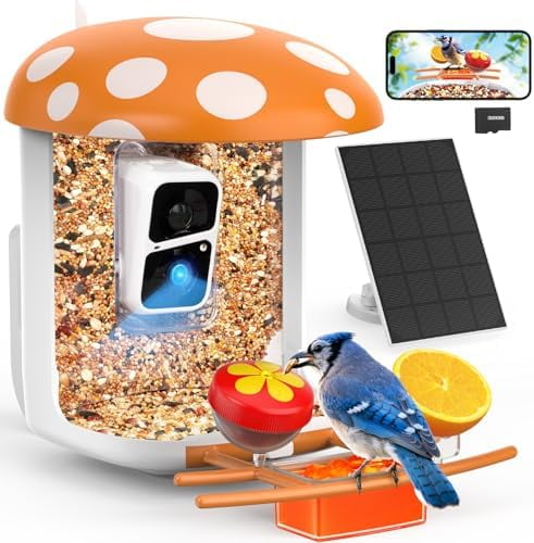 Smart Bird Feeder with Camera 2K Live Real-Time Alert AI Identify with ...