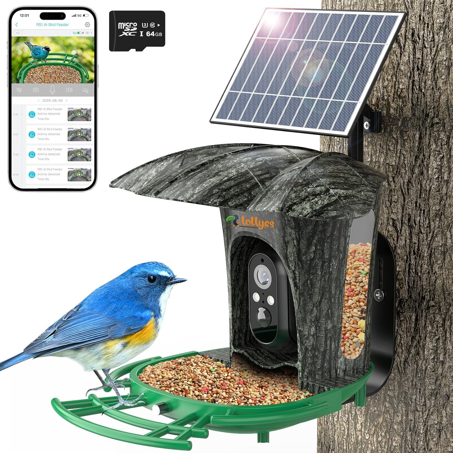 Lollyes Solar Panel Smart Bird Feeder with Camera 64G Card - Walmart.com