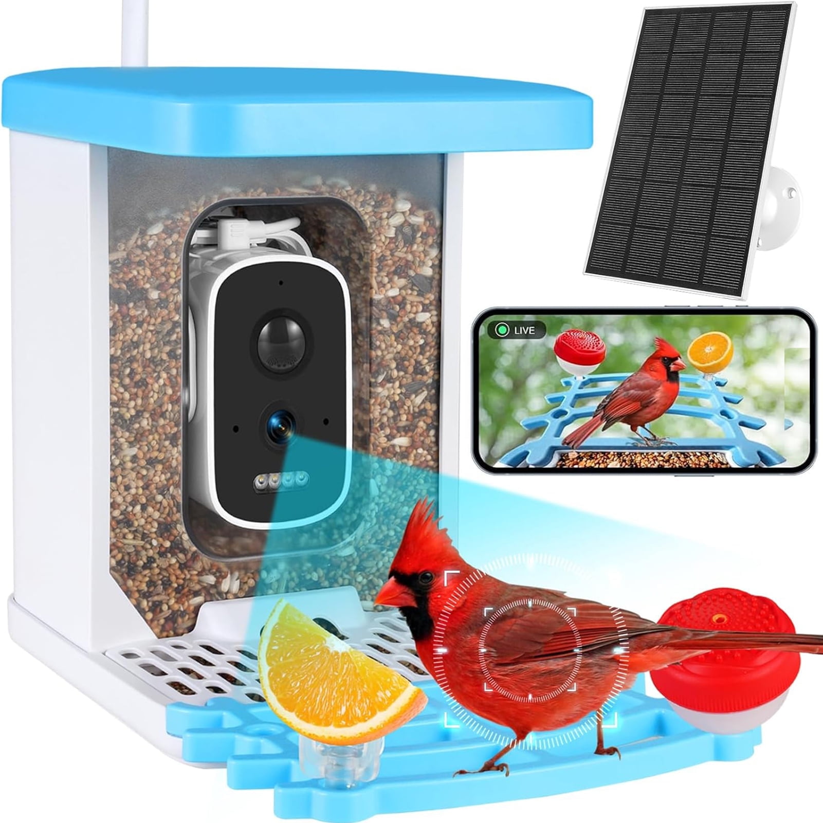 AI Smart Bird Feeder with Solar-Powered 1080P Cam, Auto Capture, Motion ...
