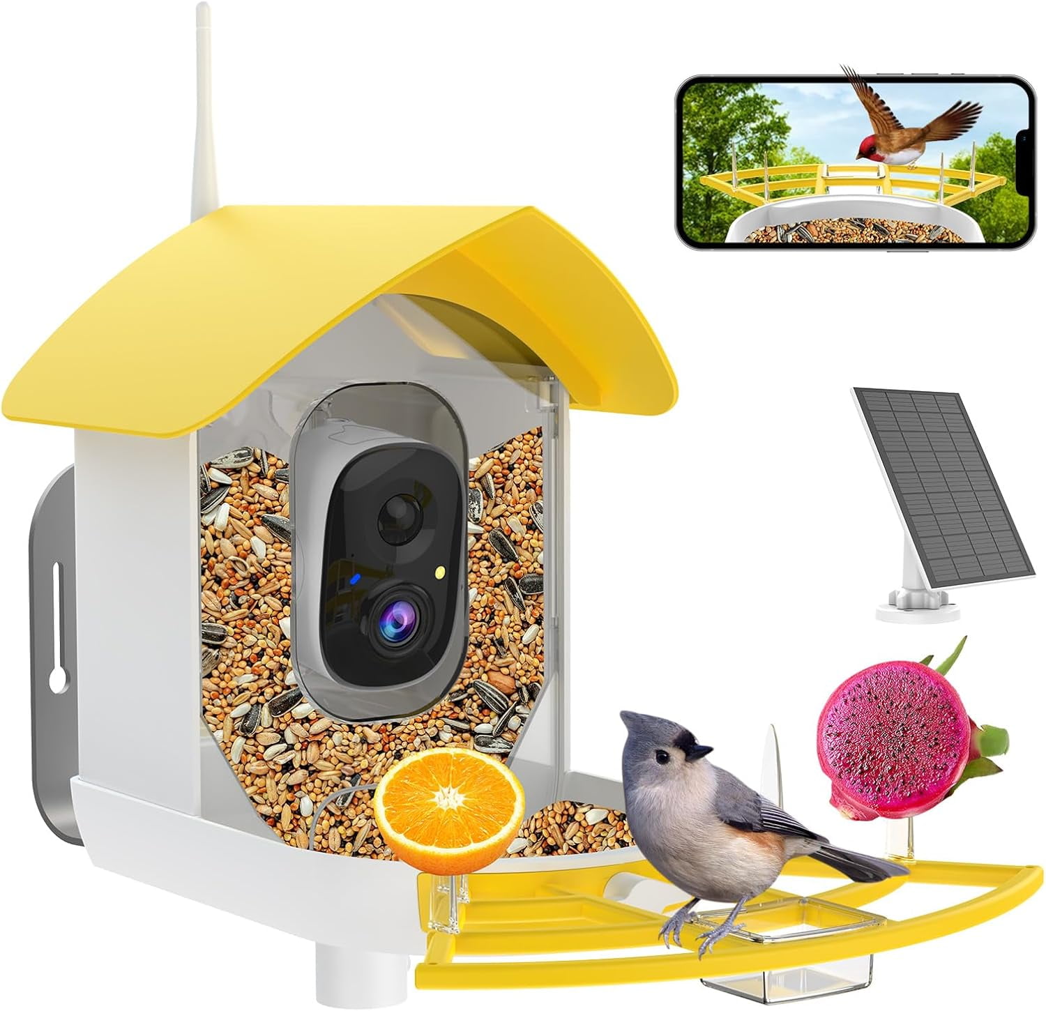 Smart Bird Feeder with Camera, AI Identify Birds Breed, Solar-Powered ...