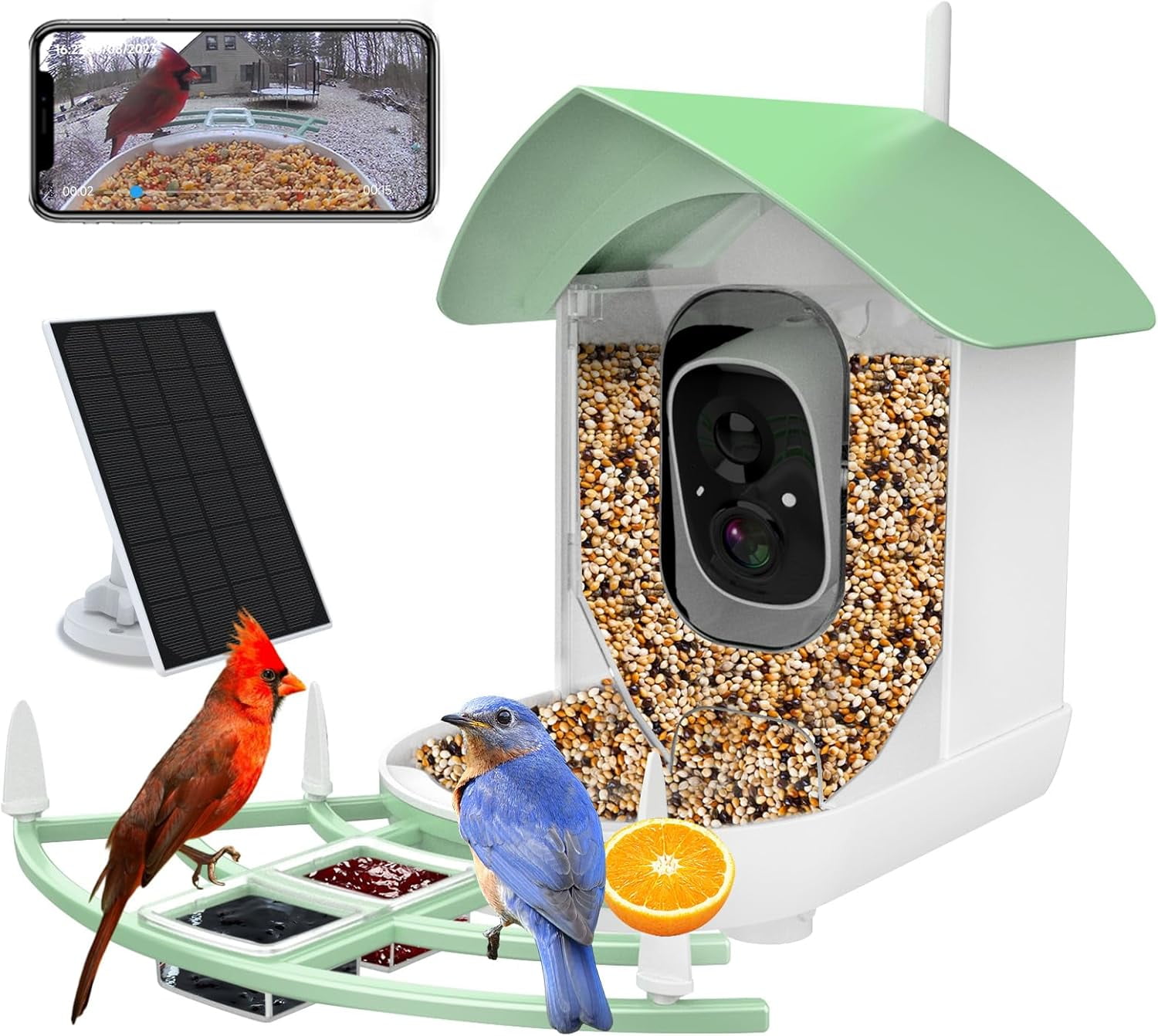 Smart Bird Feeder with Camera, AI Identify Bird Breed, Solar-Powered ...