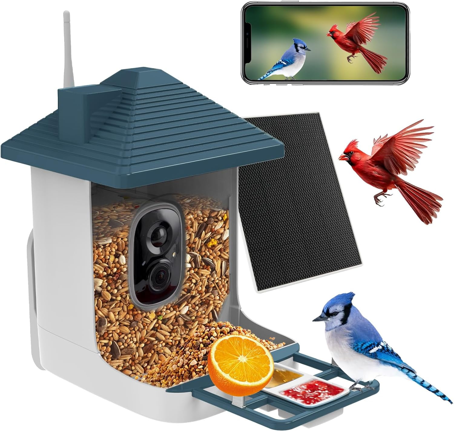 Smart Bird Feeder with Camera,AI Identify Species,Bird House with Solar ...