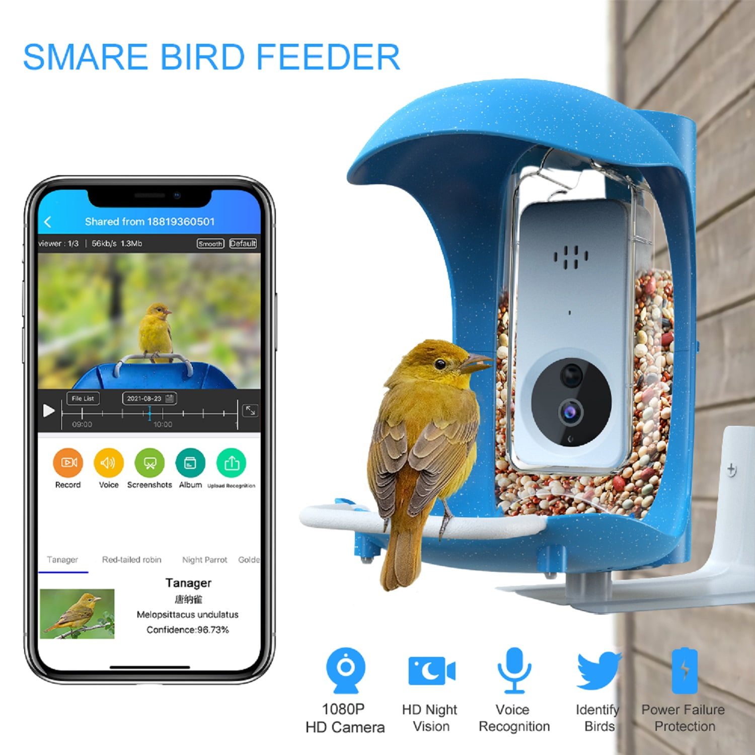 Aviation Supplies & Academics Smart Multi-Bird Feeder with Camera, 2.5 ...