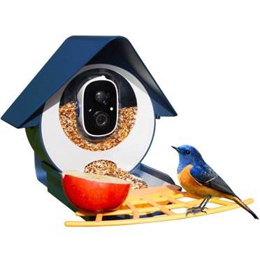 Birdkiss Smart Bird Feeder with Camera, Metal Squirrel Proof Bird ...