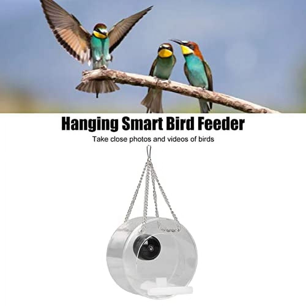 Smart Bird Feeder with Camera, Circular Video Recording, Ultra Clear ...