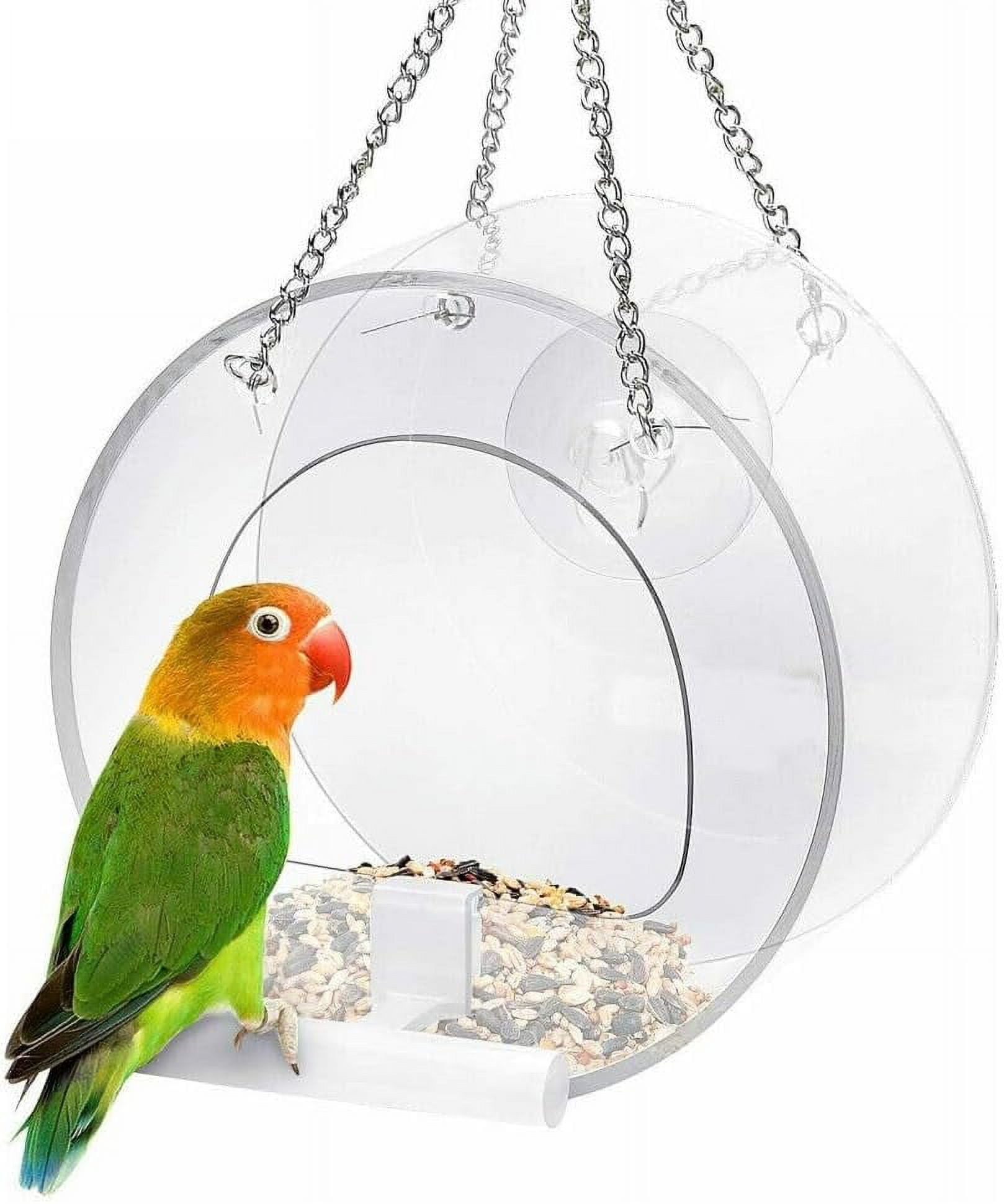 Smart Bird Feeder with Camera - HD 1080p Night-Vision Video, WiFi ...