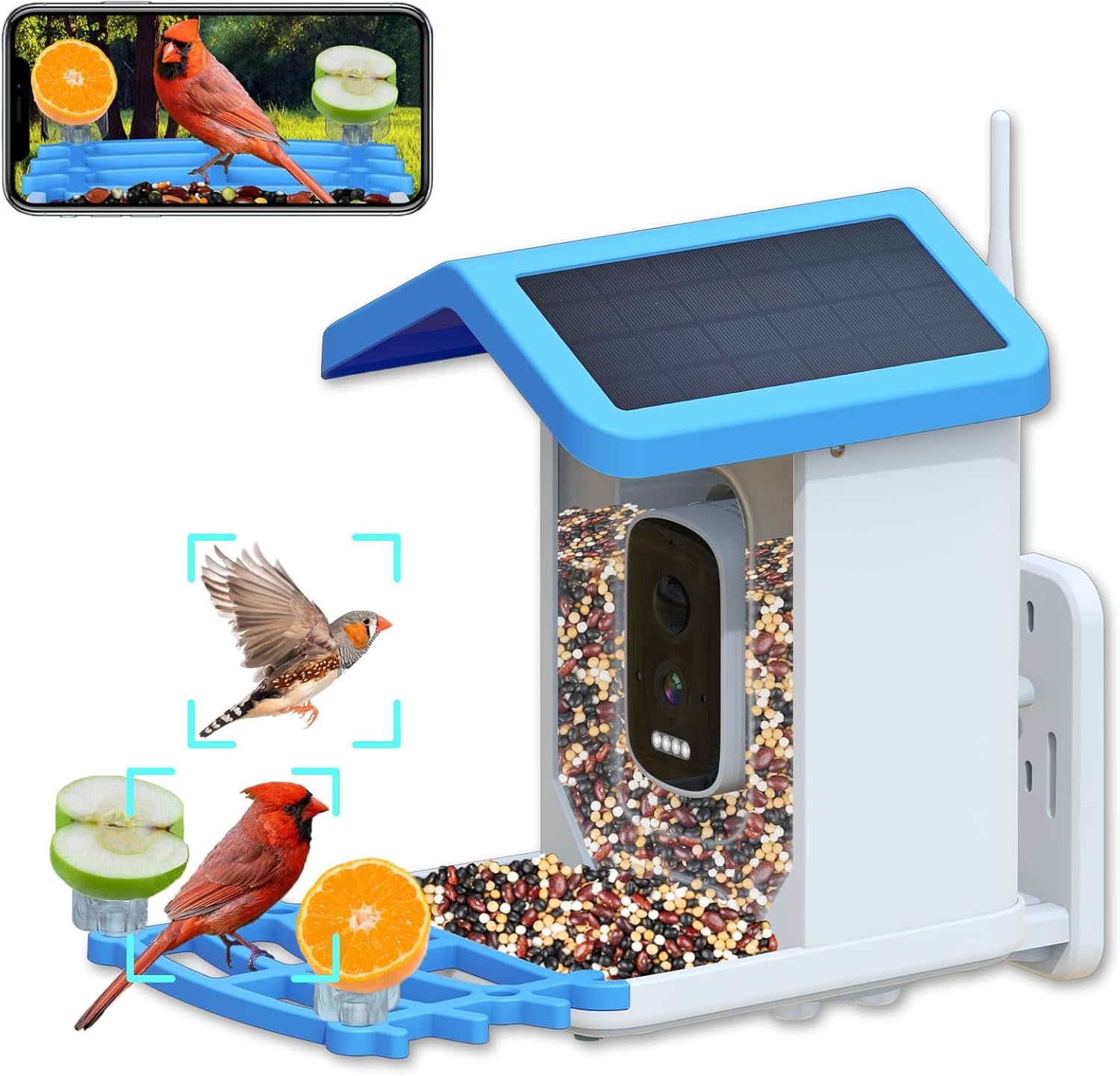 Smart Bird Feeder with Camera, Solar Bird Feeder Outdoor Wireless, AI ...