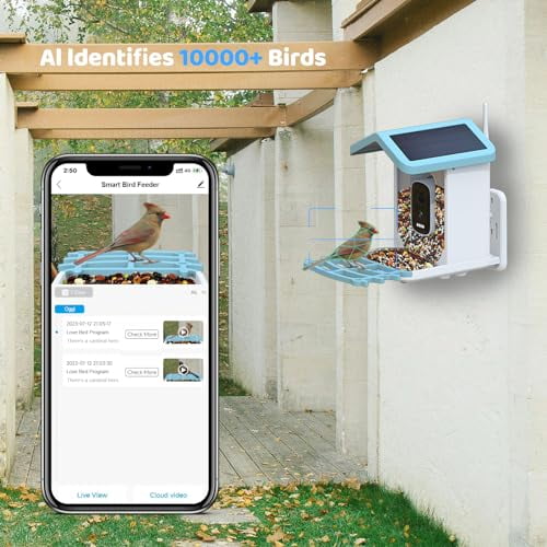 Smart Bird Feeder with Camera, Solar Bird Feeder Outdoor Wireless, AI ...